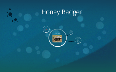 Honey Badger by Willie Jackson on Prezi