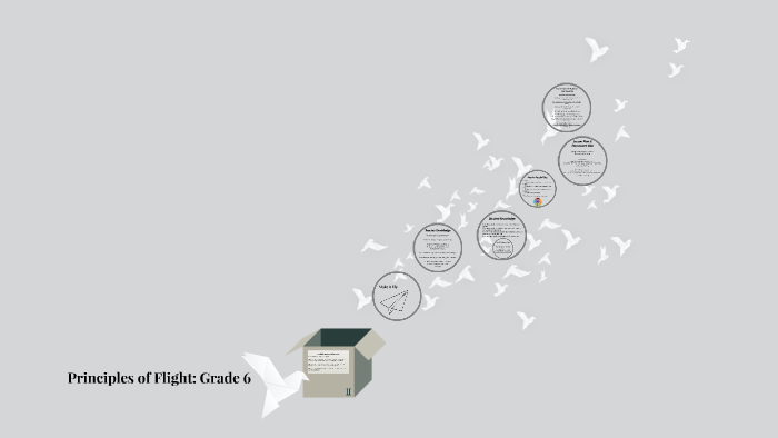 Principles of Flight by Kathryn McNulty on Prezi
