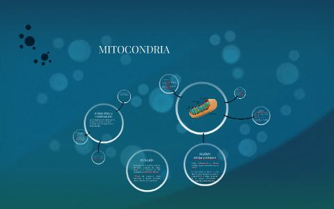 MITOCONDRIA by Kathie Jeanette Varela Meza
