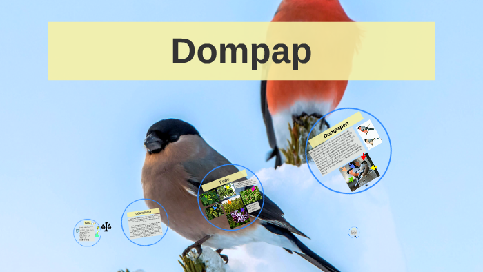 Dompap by nes ebbesen on Prezi
