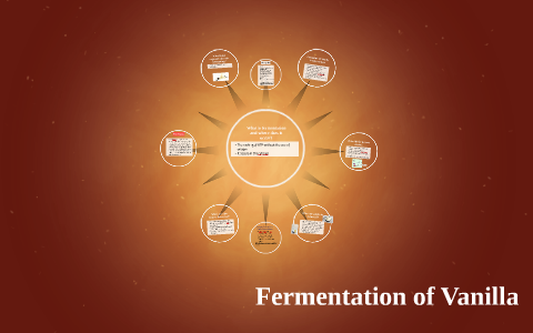 Fermentation of Vanilla by Kayla Burt on Prezi