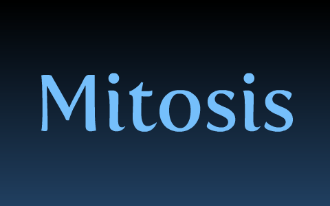 meiosis/mitosis by Carson Quillin