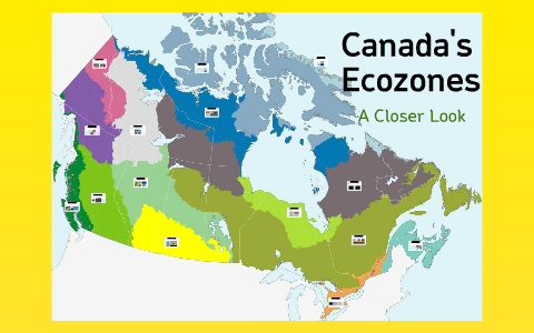 Canada's Ecozones - A Closer Look by Jennifer Campbell on Prezi