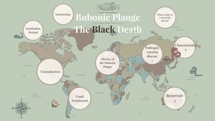 Bubonic Plague-Microbiology by Rachael Hamilton on Prezi