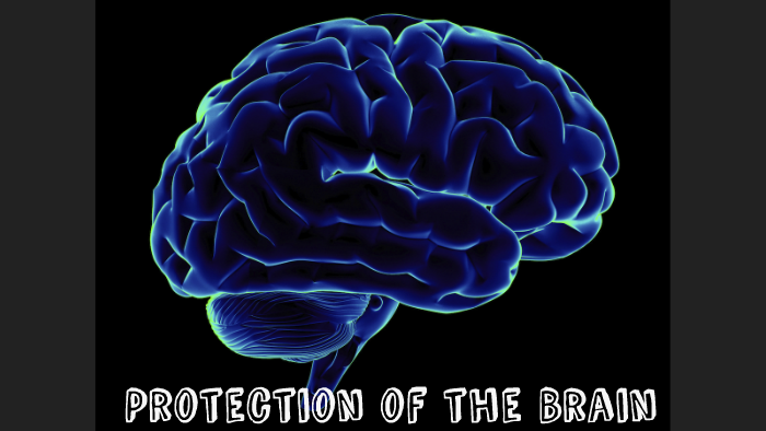 Ch. 12 - Protection of the Brain by Jennifer Do on Prezi