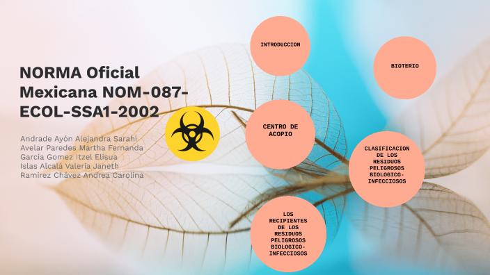 NORMA 087 by Itzel Garcia on Prezi