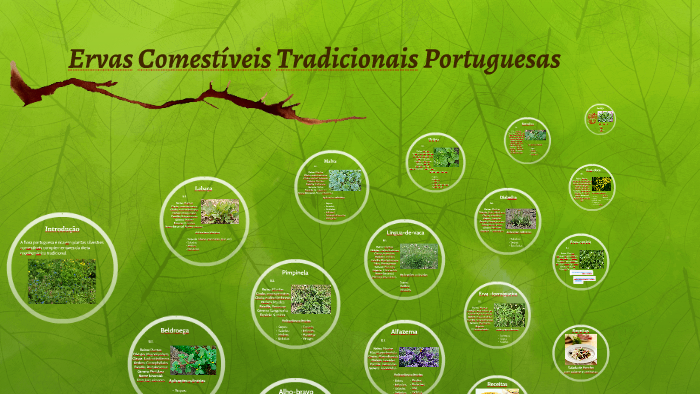 Ervas Comestíveis Tradicionais Portuguesas by Catarina Correia on Prezi