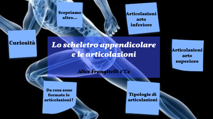 Lo scheletro appendicolare e le articolazioni by alice.frangitelli ...