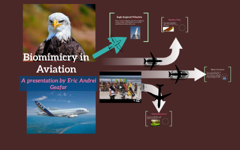 Biomimicry in Aviation by iggy azalea on Prezi