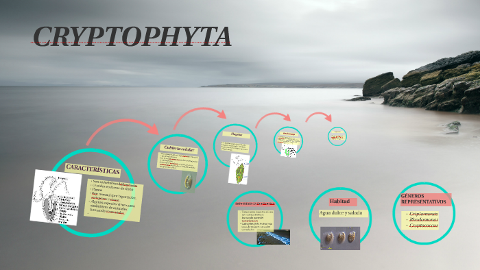 CRYPTOPHYTA by Andrea Suárez on Prezi