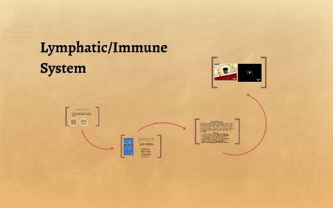 Lymphatic/Immune System by jacob larry on Prezi