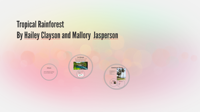 Tropical Rainforest by Mallory Jasperson on Prezi