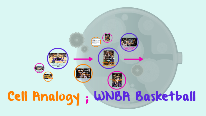 Cytoplasm (Basketball Court)- The area containing all action by Somer ...