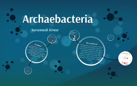 Archaea Vs Bacteria Definition 15 Major Differences