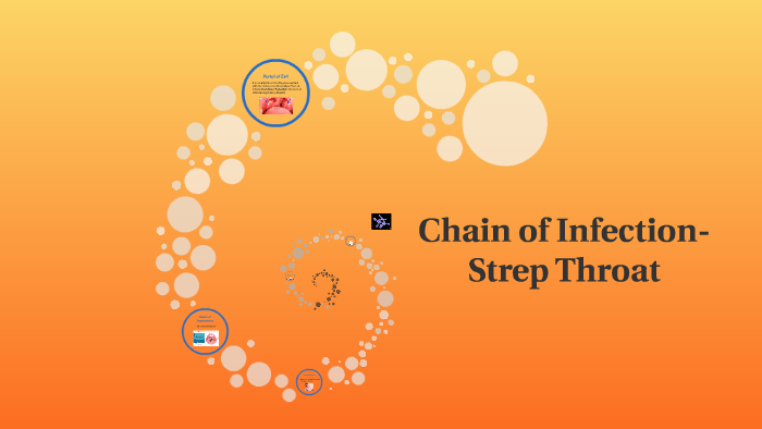 Chain of Infection- Strep Throat by Nia Lecky on Prezi