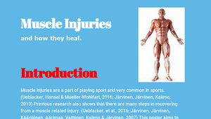 Muscle Infographic by Ryan Buxton on Prezi Design