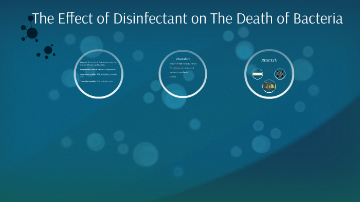 The Effect of Disinfectant on The Death of Bacteria by magen theis on Prezi