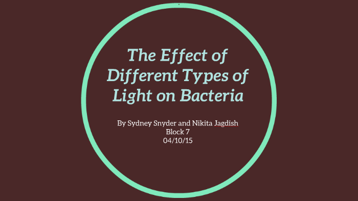 The Effect of Different Types of Light on Bacteria by Nikita Jagdish on ...