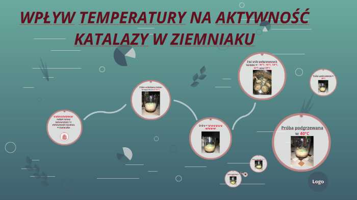 WPŁYW TEMPERATURY NA AKTYWNOŚĆ KATALAZY W ZIEMNIAKU by Natalia Dorczak ... WPŁYW TEMPERATURY NA AKTYWNOŚĆ KATALAZY W ZIEMNIAKU by Natalia Dorczak ...