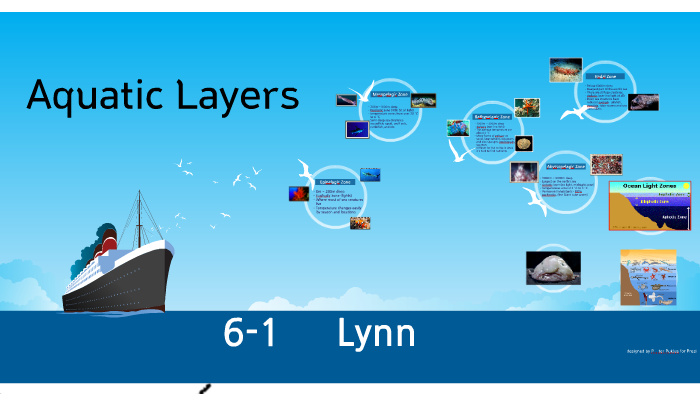 aquatic layers by lynn lee on Prezi