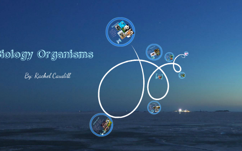 Biology organism project by rach c. on Prezi