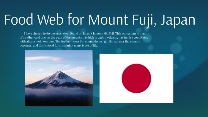 Food Web for Mount Fuji, Japan by Sarah Moreau on Prezi
