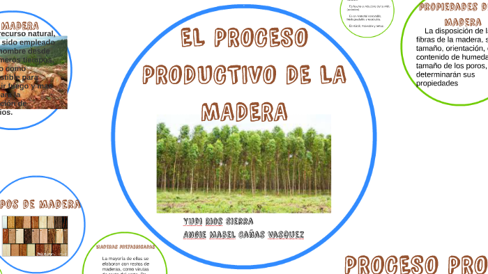 EL PROCESO PRODUCTIVO DE LA MADERA by angie mabel cañas vasquez on Prezi