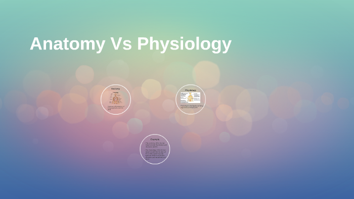 Anatomy Vs Physiology By Lucas Del Rosario On Prezi