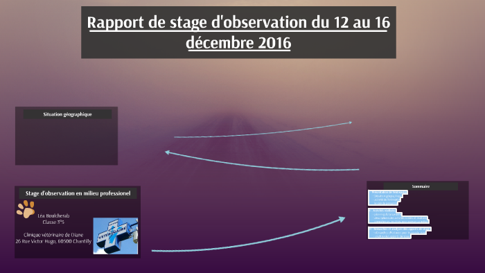 Rapport de stage d'observation by Léa Boulcherab on Prezi