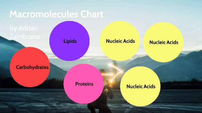 Macromolecule chart by adrian zambrano on Prezi