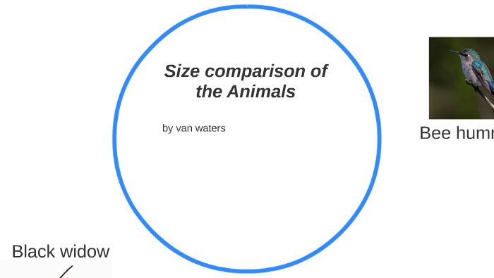 Size comparison of the animals (S.C.O.T universe pt. 1 by Van Waters on ...