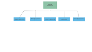 Psychiatry Organizational Chart by Lauren Pavone on Prezi Design