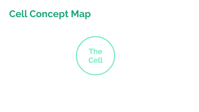 Cell Concept Map by Reed Hammond on Prezi