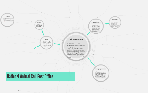Animal Cell Post Office by Nadia Zamany on Prezi