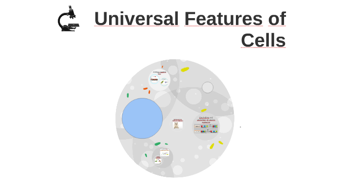 Universal Features of Cells by Brian Alan Ramos Torres on Prezi