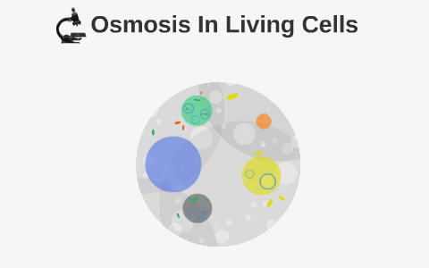 Osmosis In Living Cells by Kaylah Sanchez on Prezi