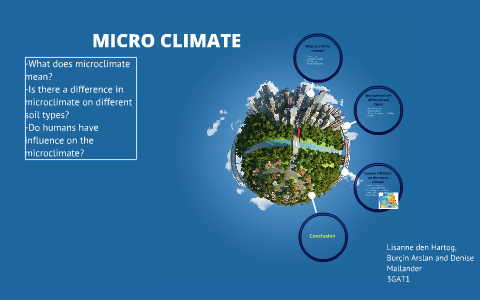 Micro climate by Denise Mallander on Prezi