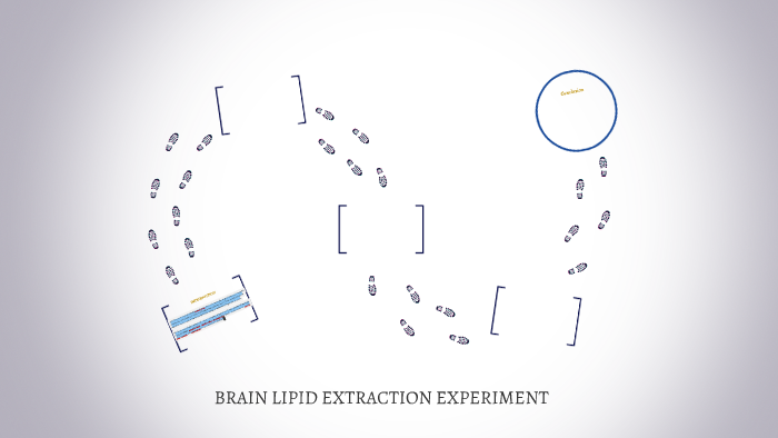 BRAIN LIPID EXPERIMENT by Raj Deepak