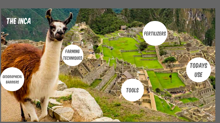 Adapting to the Environment: The Inca by Faith Melendez on Prezi