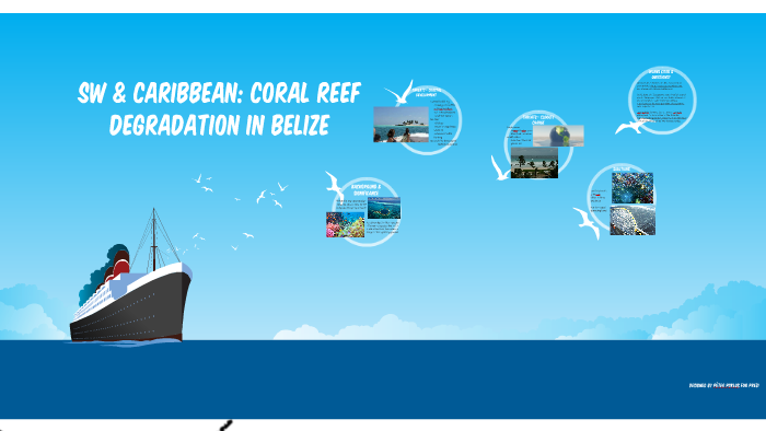 SW & CARIBBEAN: Coral Reef degradation in belize by Fatima Alamire