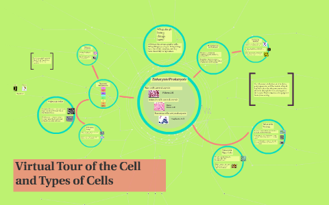 Virtual Tour of the Cell and Types of Cells by Brianna Gaines on Prezi