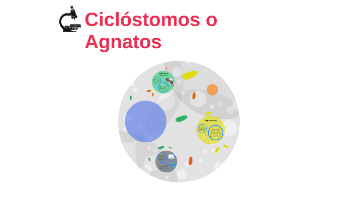 Ciclóstomos o Agnatos by aaron la rosa on Prezi