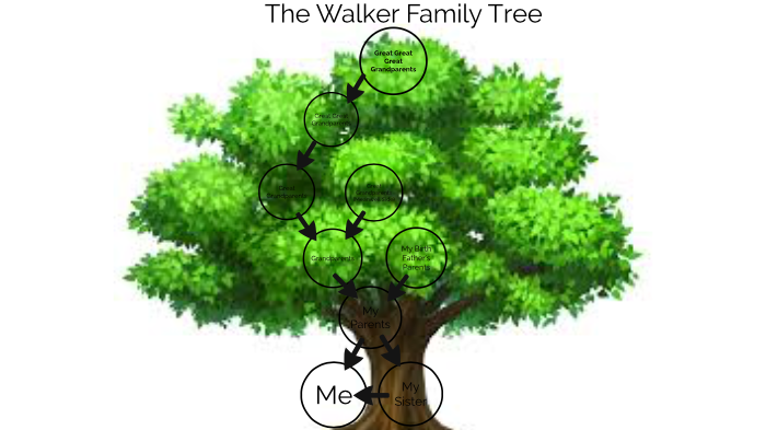 Walker Family Tree by Gabrielle Rotramel on Prezi