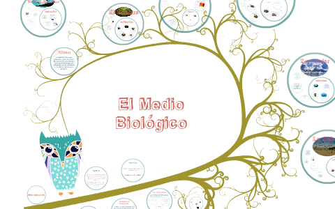 El medio biológico by Marijosi Marijosi on Prezi