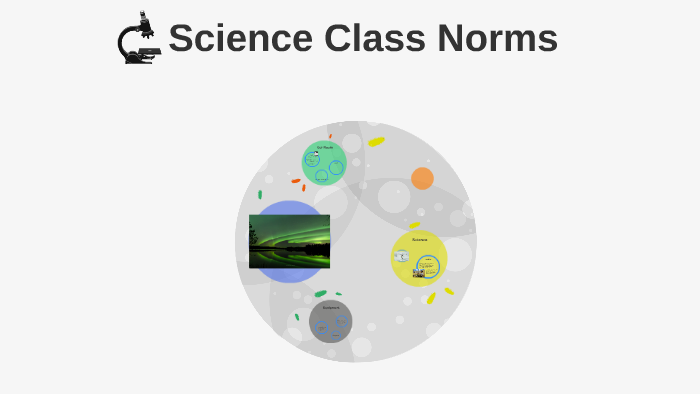 Science Class Norms by Suzanne Gindin