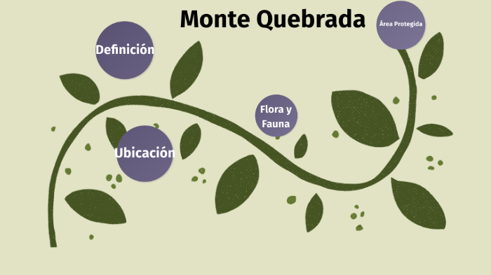 Monte Quebrada by Cecilia Alarcon on Prezi
