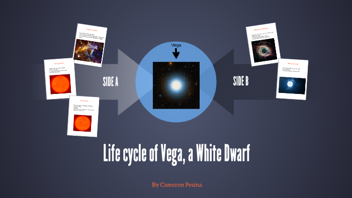 Life cycle of Vega, a White Dwarf by Cameron Pesina
