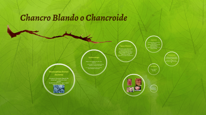 Chancro Blando o Chancroide by Raul Nava on Prezi