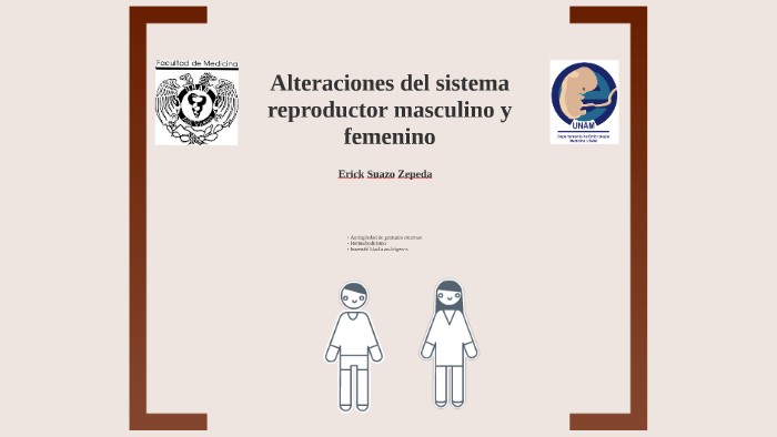 Alteraciones del sistema reproductor masculino y femenino by Suazo ...