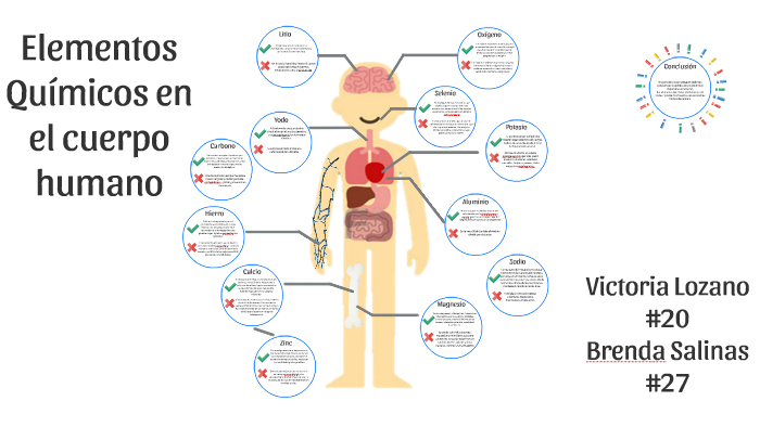 Elementos Químicos en el cuerpo by Victoria Lozano López on Prezi